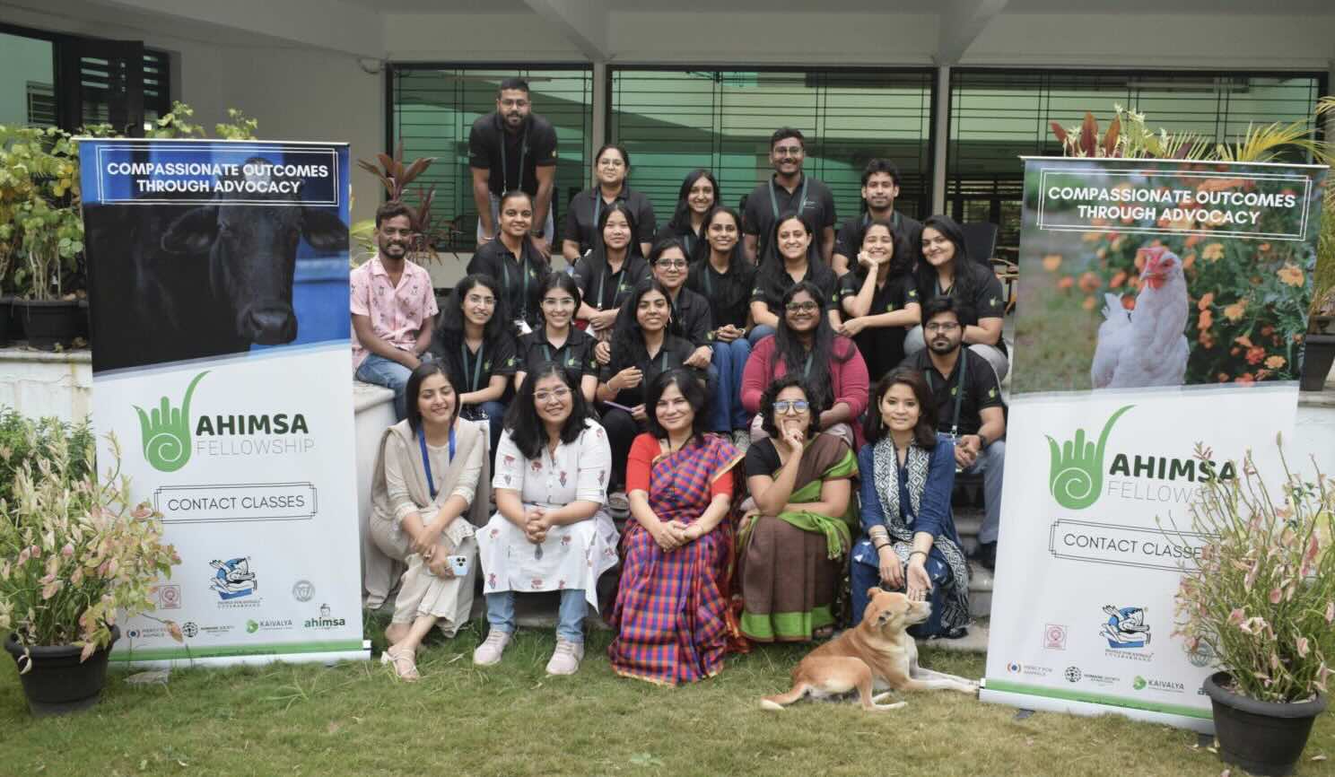 Ahimsa Fellowship Programme 2024-2025 (Animal Protection) - You Can Lead BN